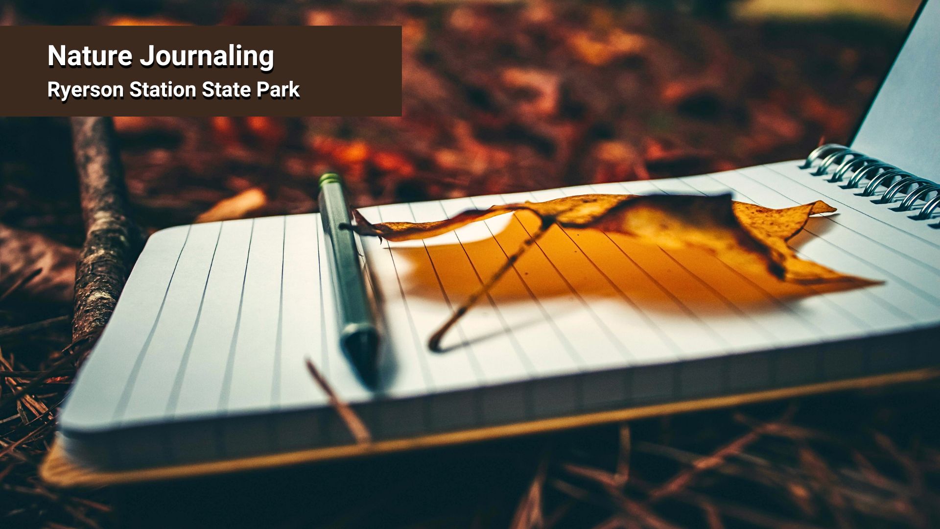 Nature Journaling - Visit Greene County